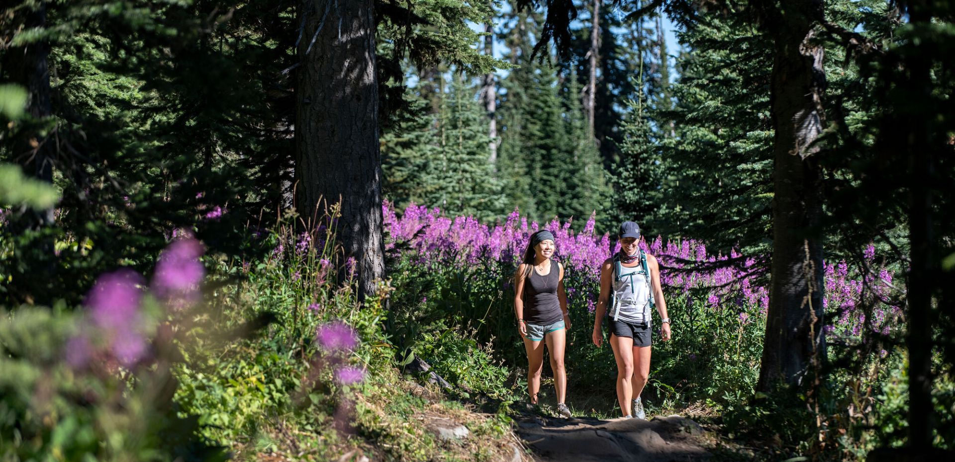 Home - Destination BC - Destination BC