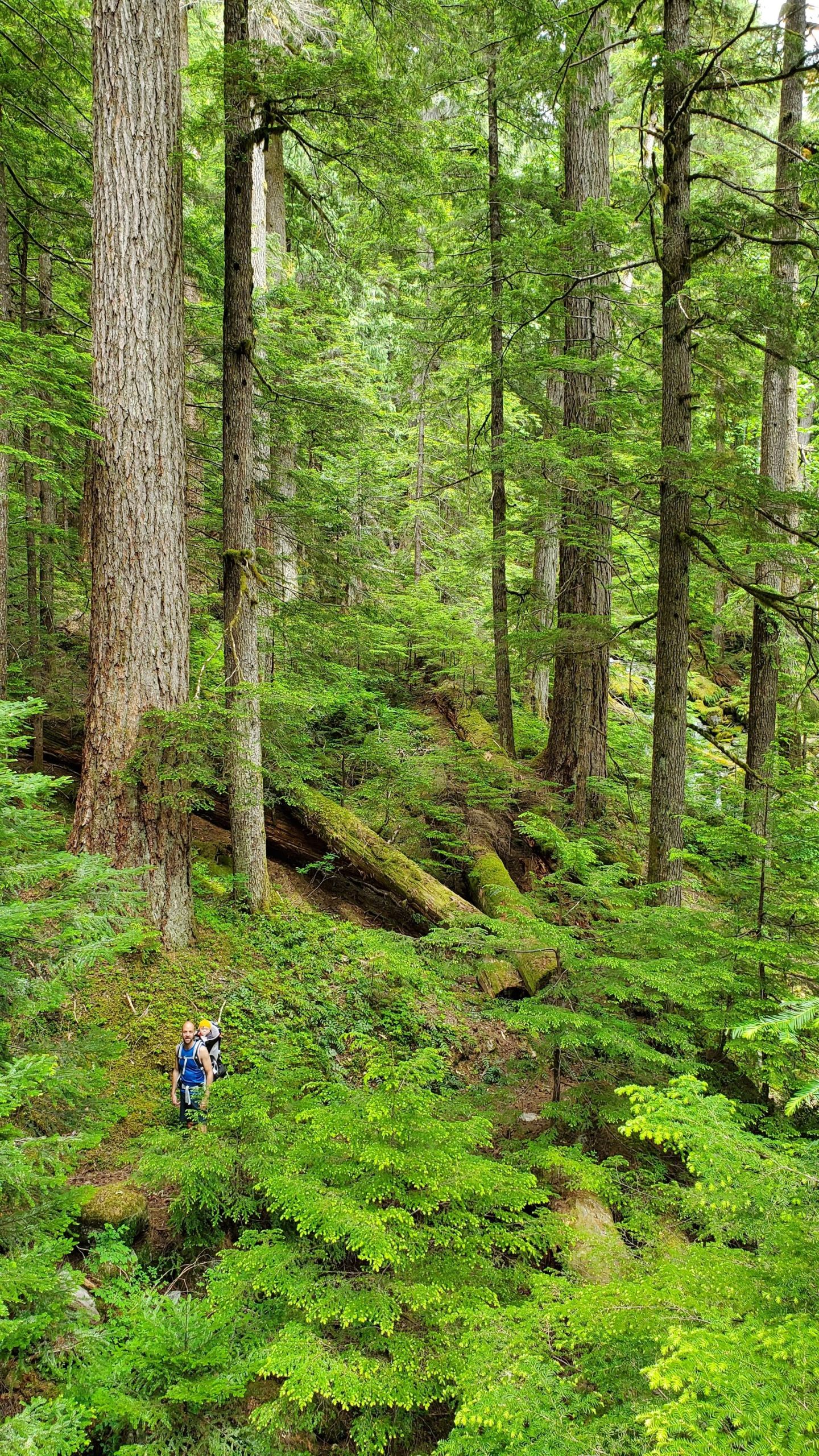 Not Just Another Day in the Office, for Destination BC Staff - Destination BC - Destination BC