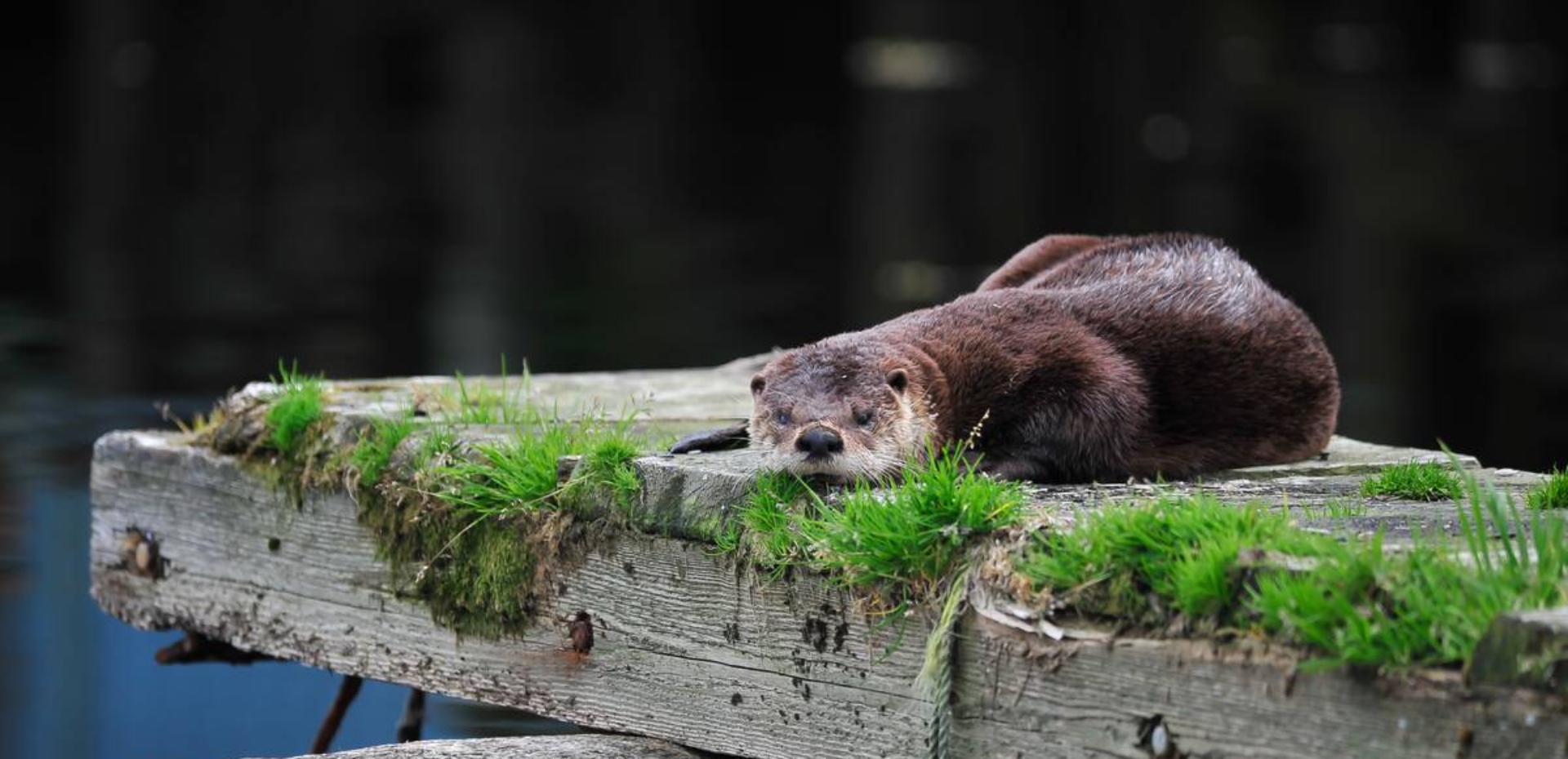 Home - Destination BC - Destination BC