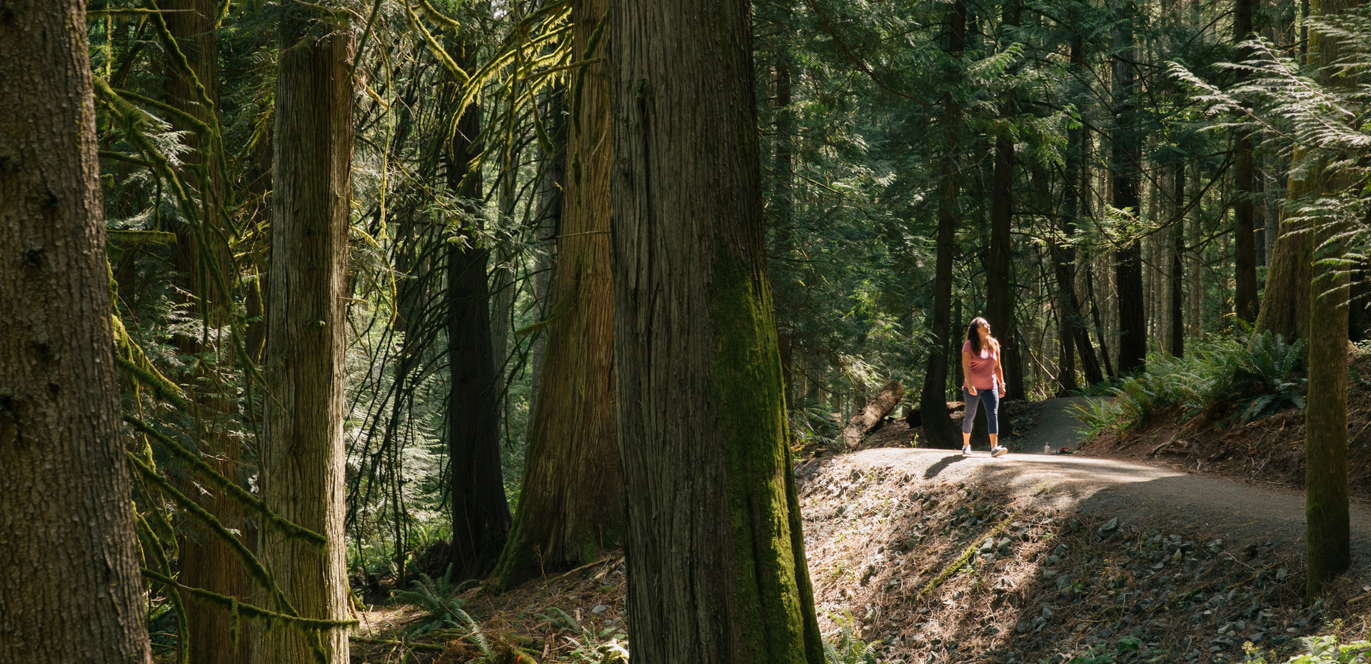 Destination BC | BC Tourism Research & Insights - Destination BC